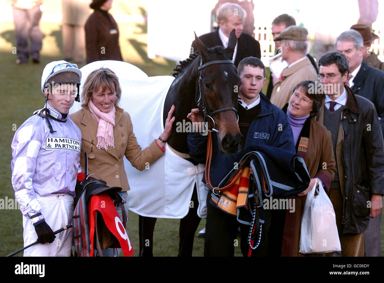 Horse Racing - Cheltenham Races Stock Photo - Alamy