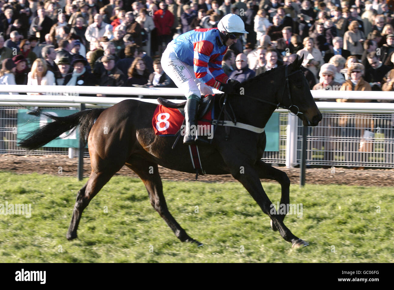 Sport horse racing tony dobbin hi-res stock photography and images - Alamy