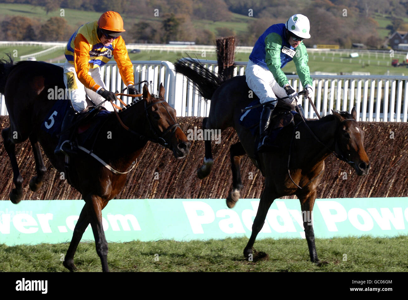 Horse Racing - Cheltenham Races Stock Photo - Alamy