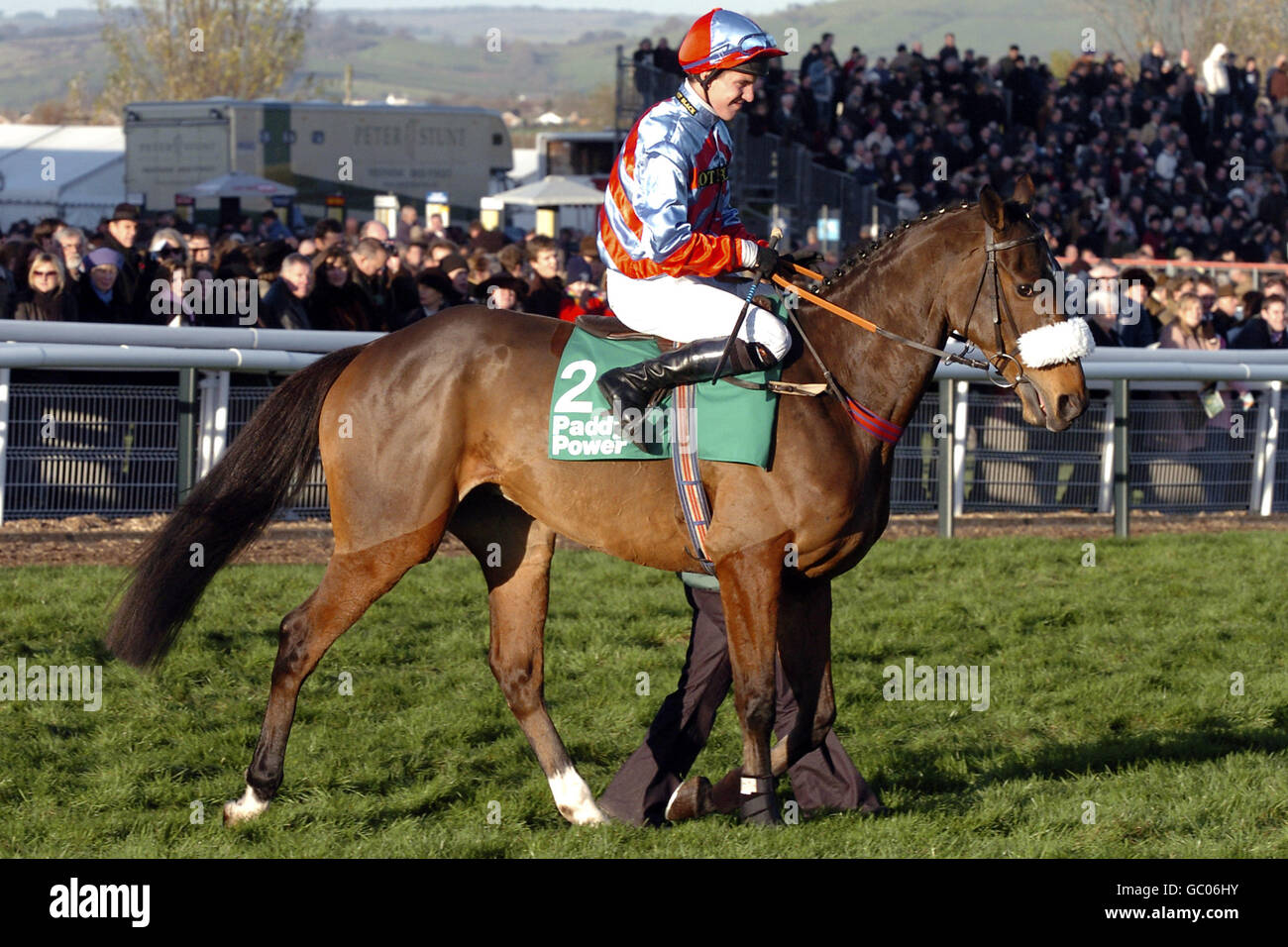 Horse Racing - Cheltenham Races Stock Photo - Alamy