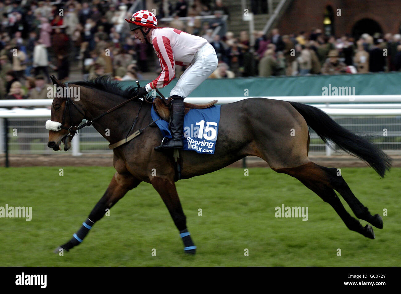 Horse Racing - Cheltenham Races Stock Photo - Alamy