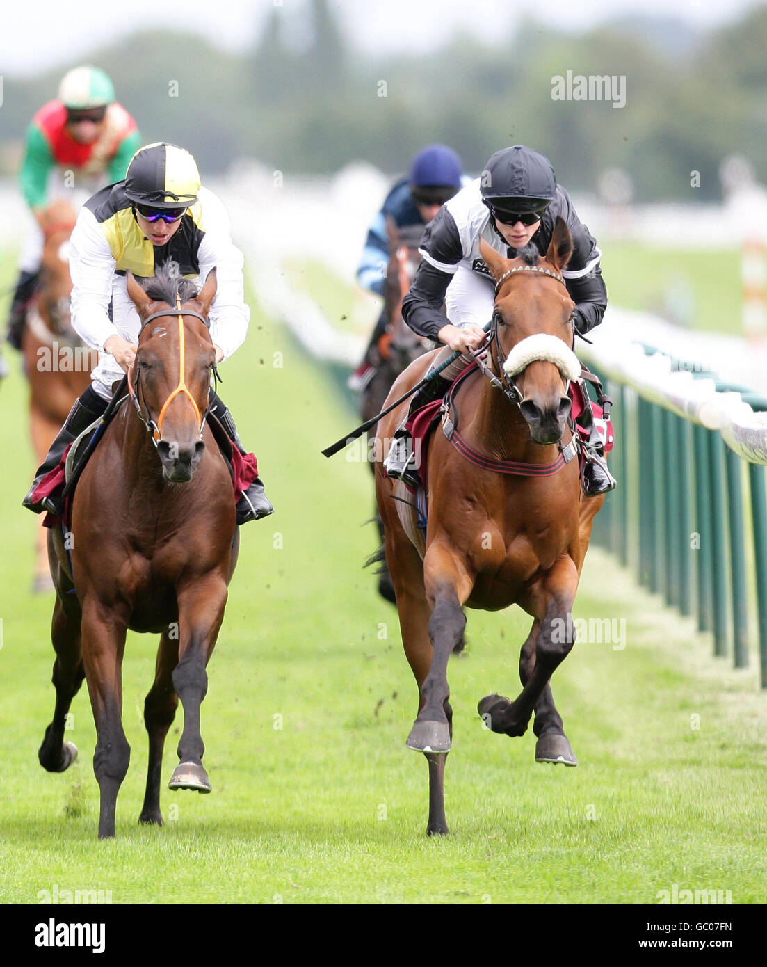 Saints rlfc hi-res stock photography and images - Alamy