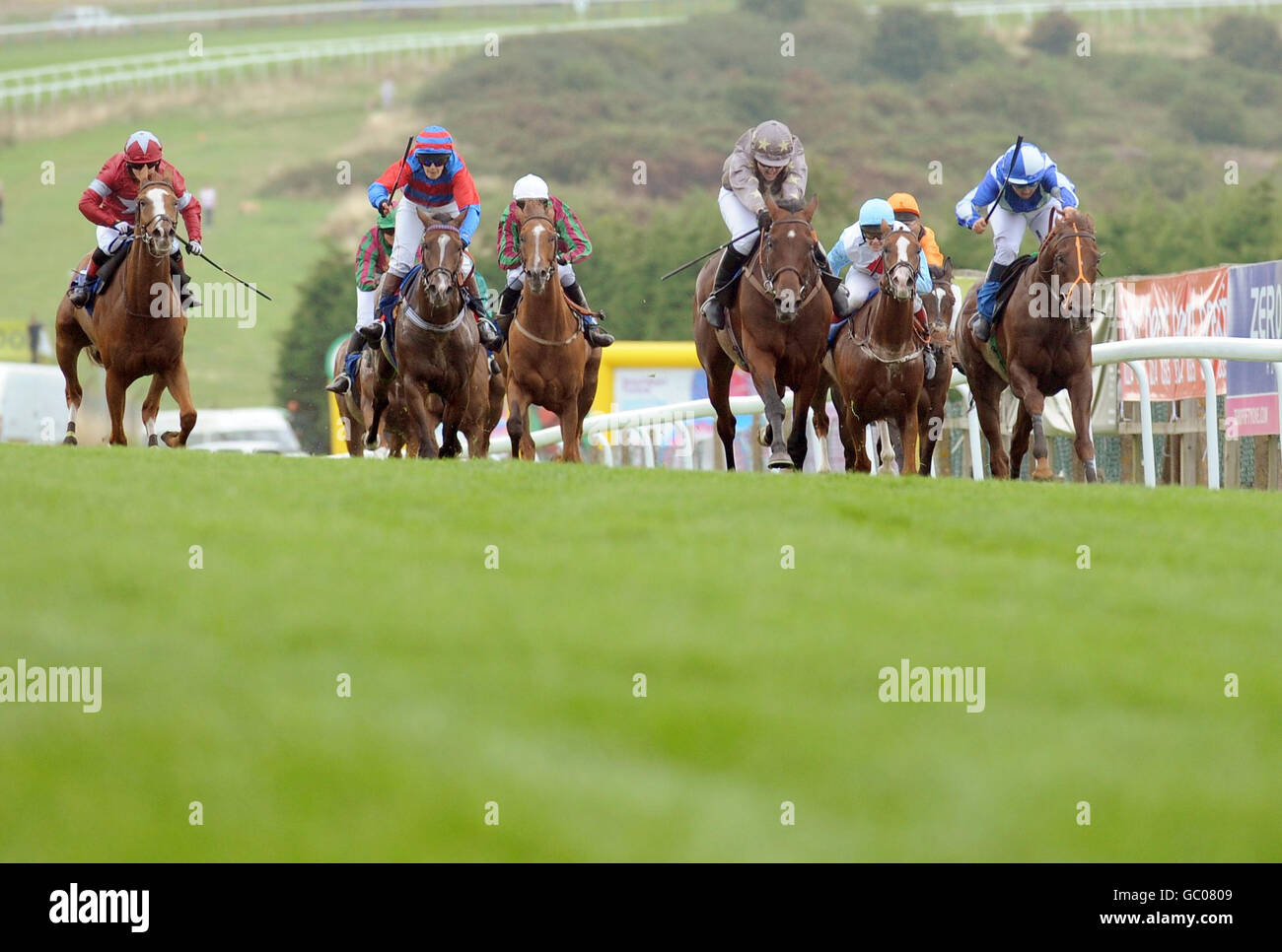 Hayley Moore High Resolution Stock Photography and Images - Alamy