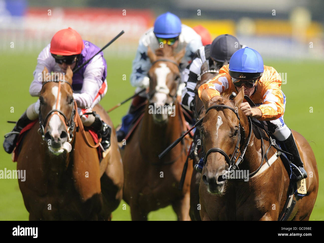 Shergar horse hi-res stock photography and images - Alamy