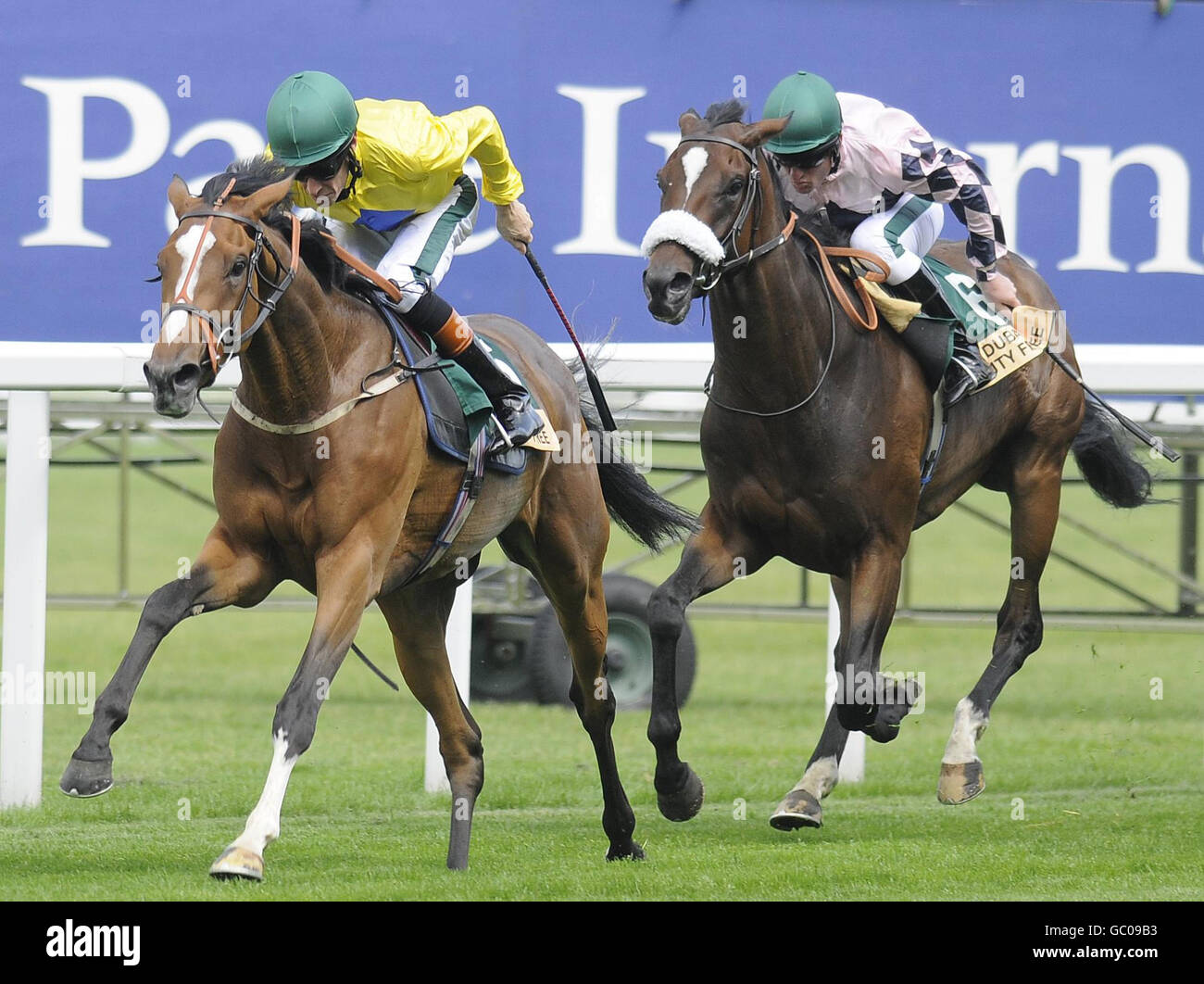 Shergar horse hi-res stock photography and images - Alamy