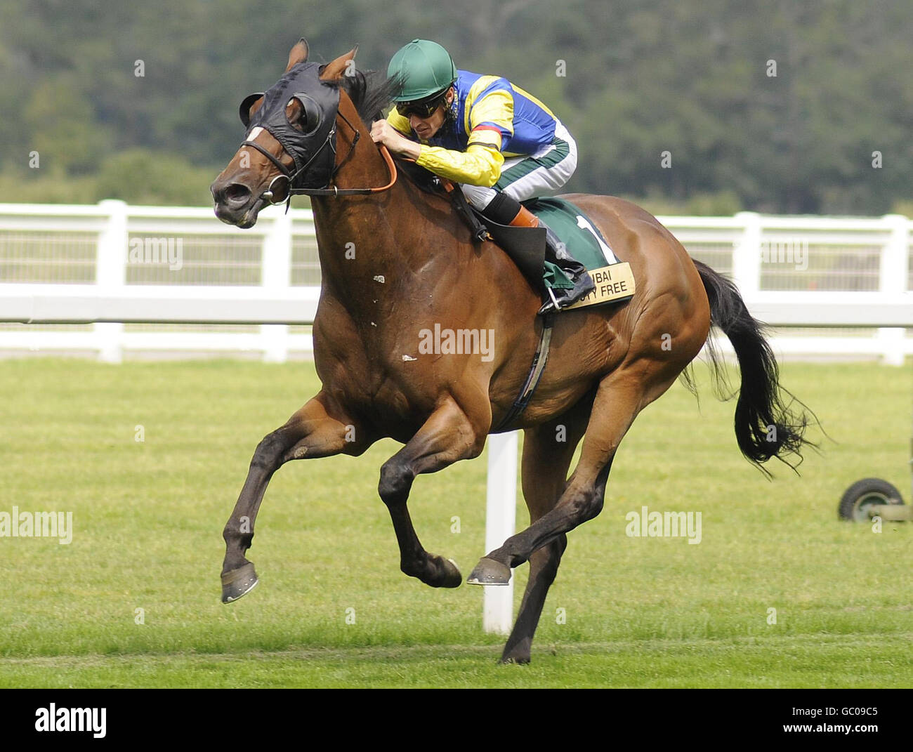 Shergar horse hi-res stock photography and images - Alamy