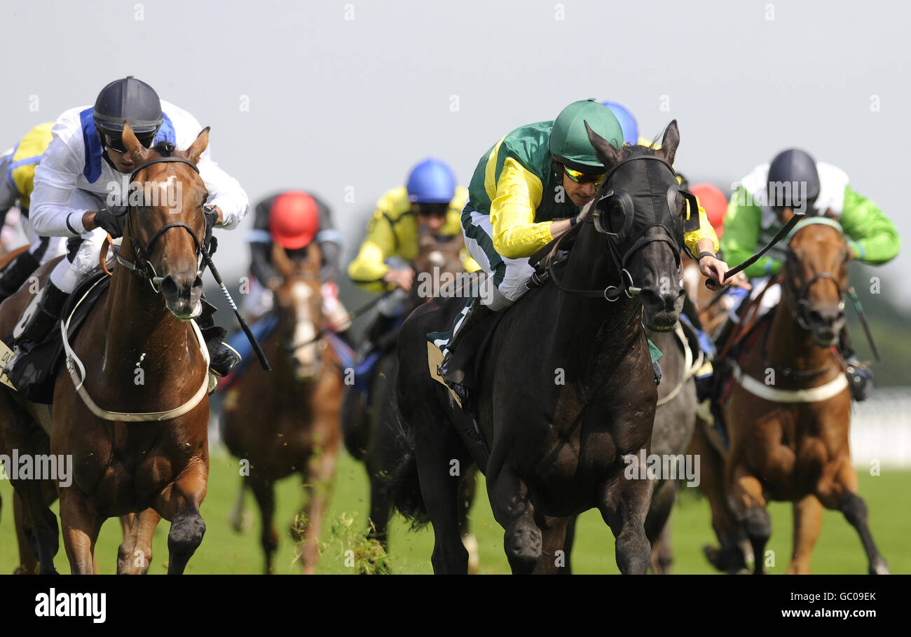 With shergar hi-res stock photography and images - Alamy