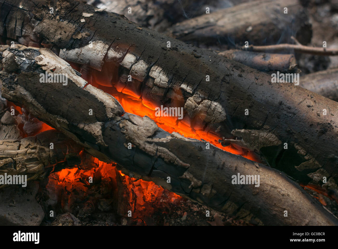Glowing wood fire for concept of survival skills, bushcraft and camping ...