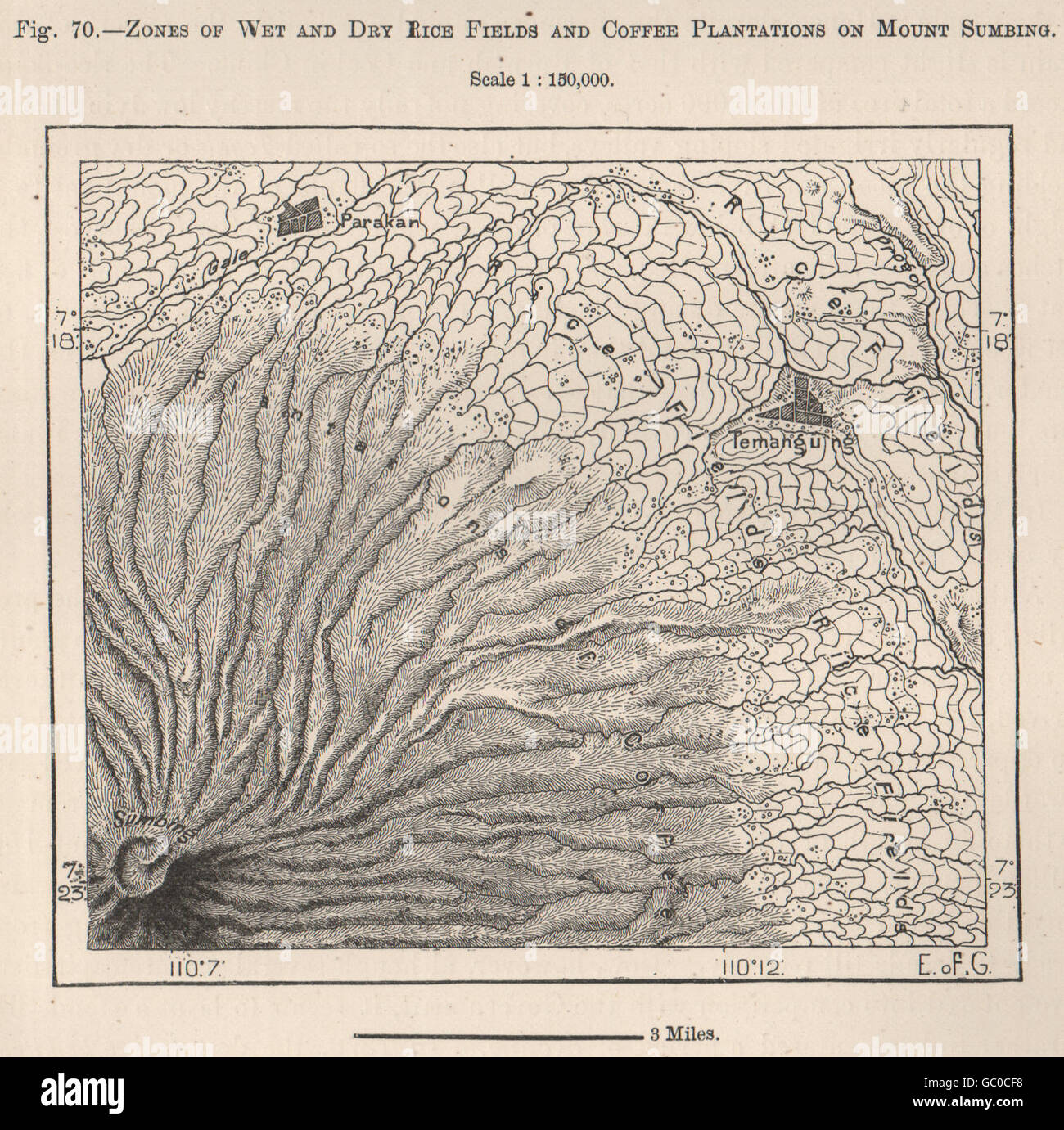 Coffee plantation 19th century hi-res stock photography and images - Alamy