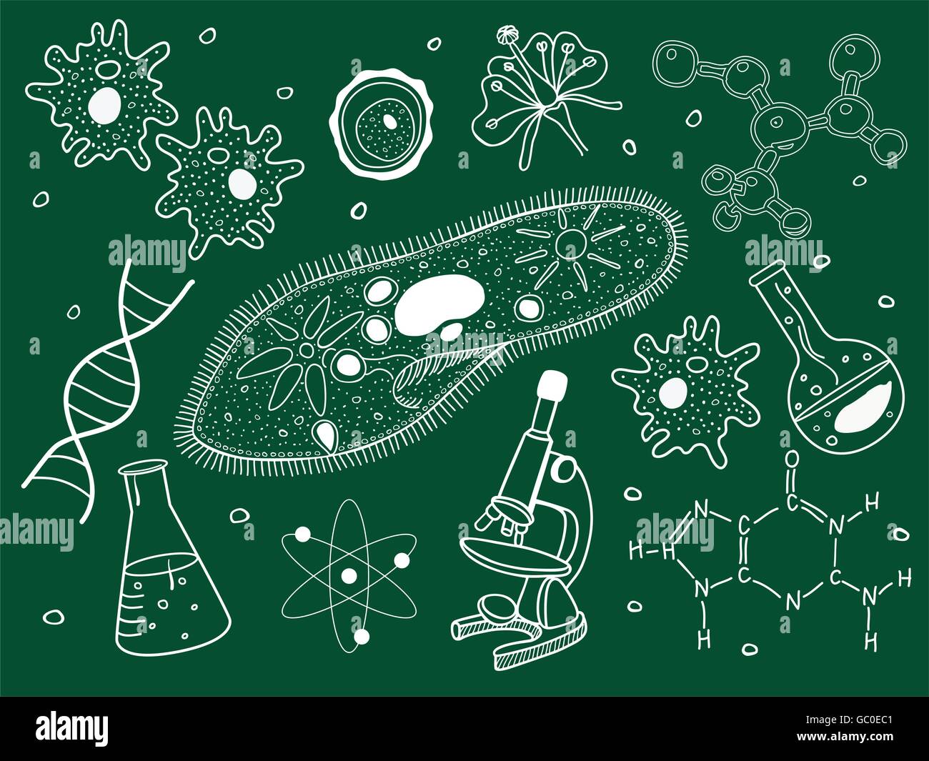 Biology sketches on school board Stock Vector Image & Art - Alamy