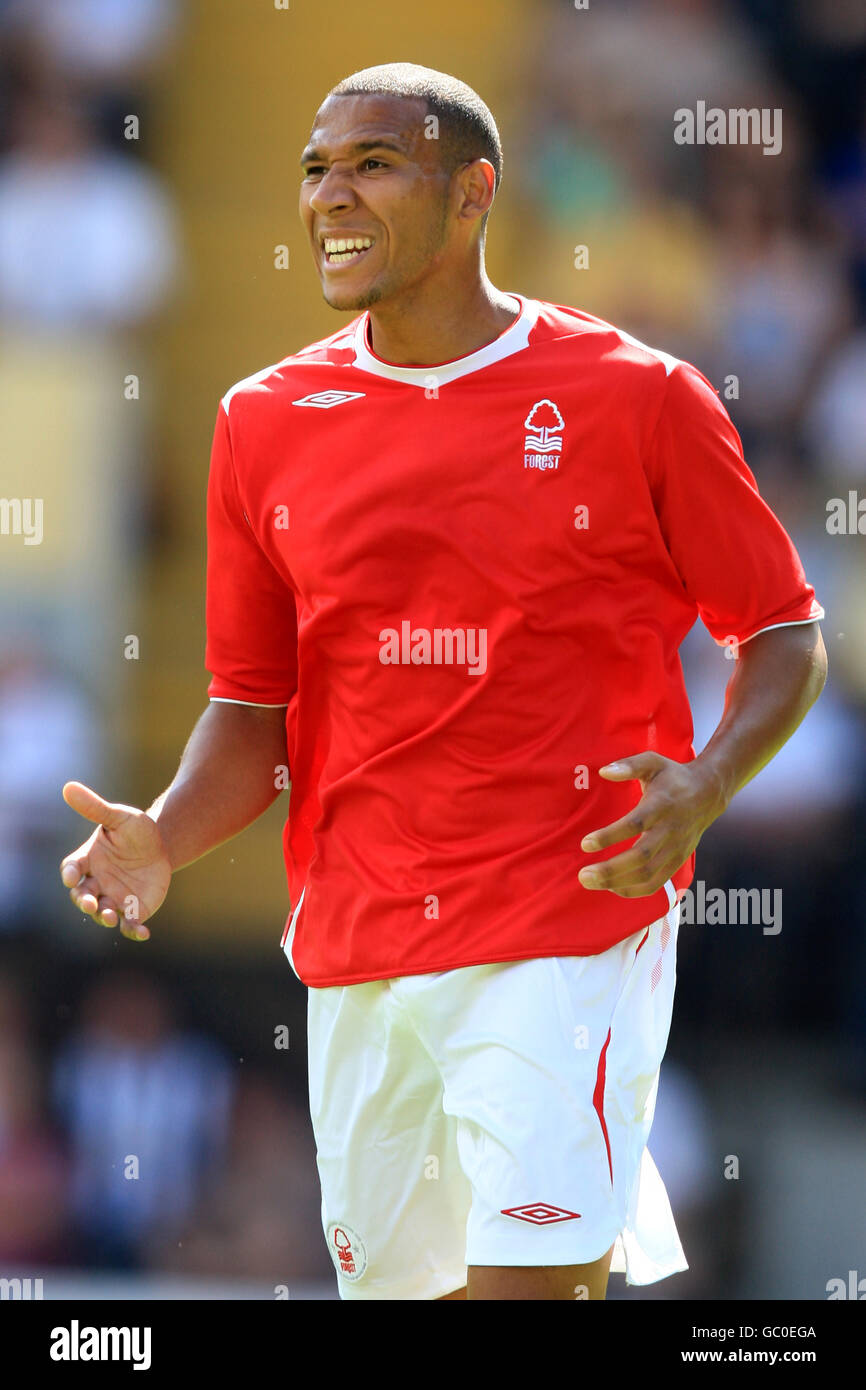 Kelvin wilson forest hi-res stock photography and images - Alamy