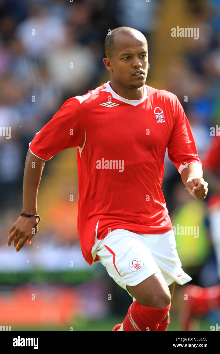 Robert earnshaw forest hi-res stock photography and images - Alamy