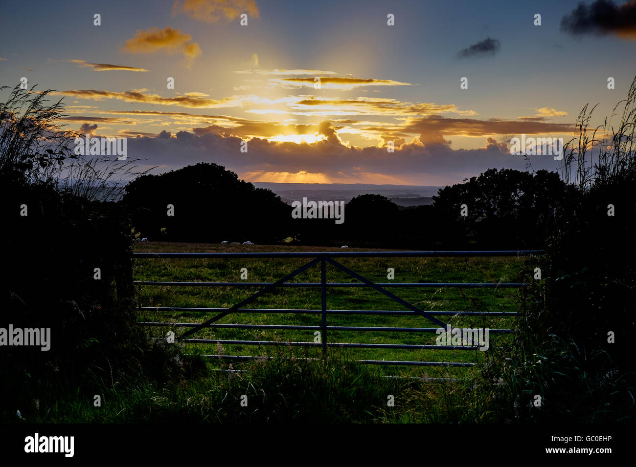 Sunset at Brentor Devon Stock Photo - Alamy