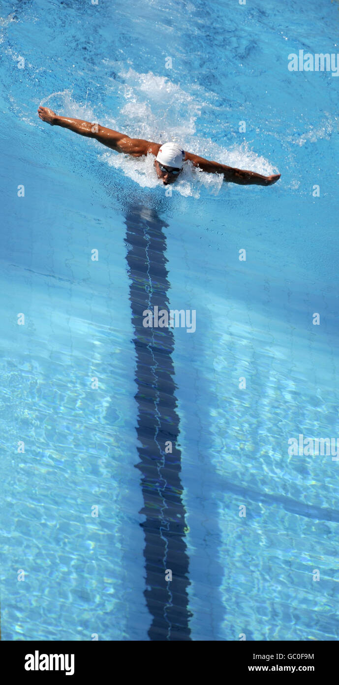 Butterfly in water hi-res stock photography and images - Alamy