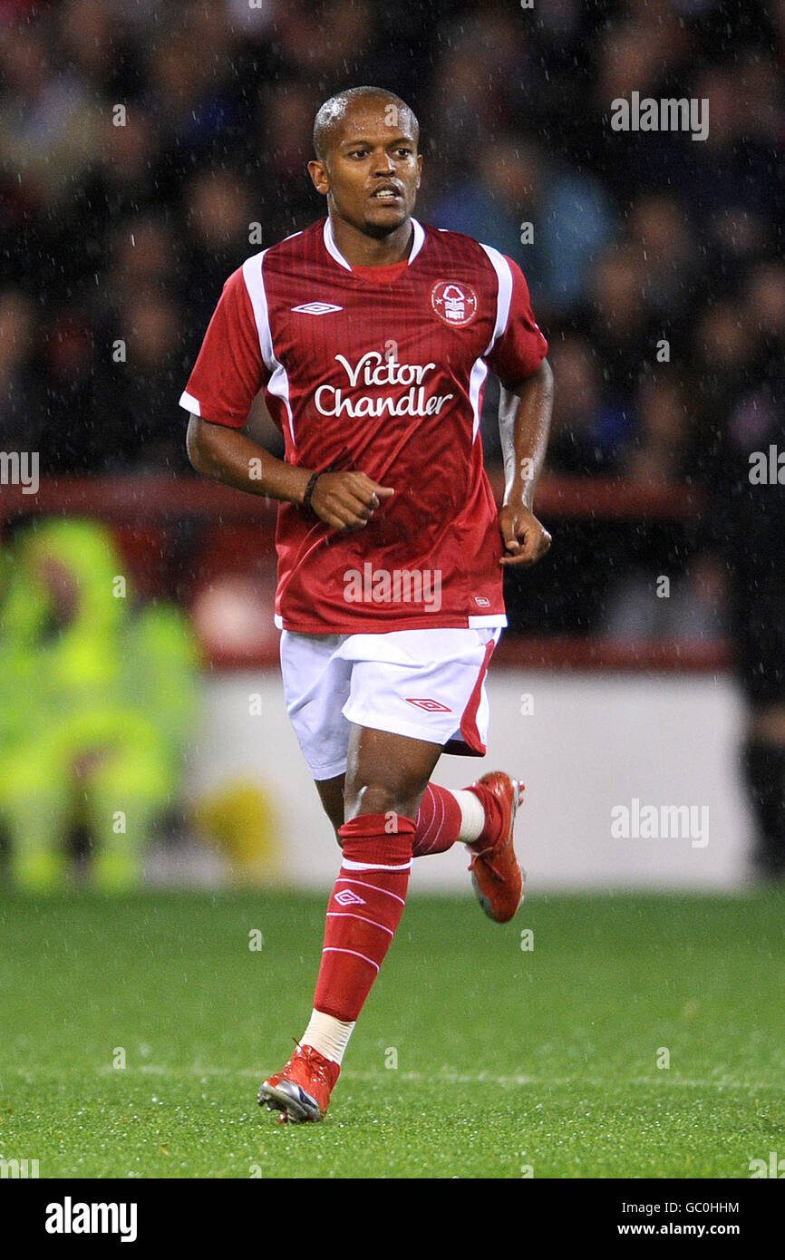 Robbie earnshaw forest hi-res stock photography and images - Alamy