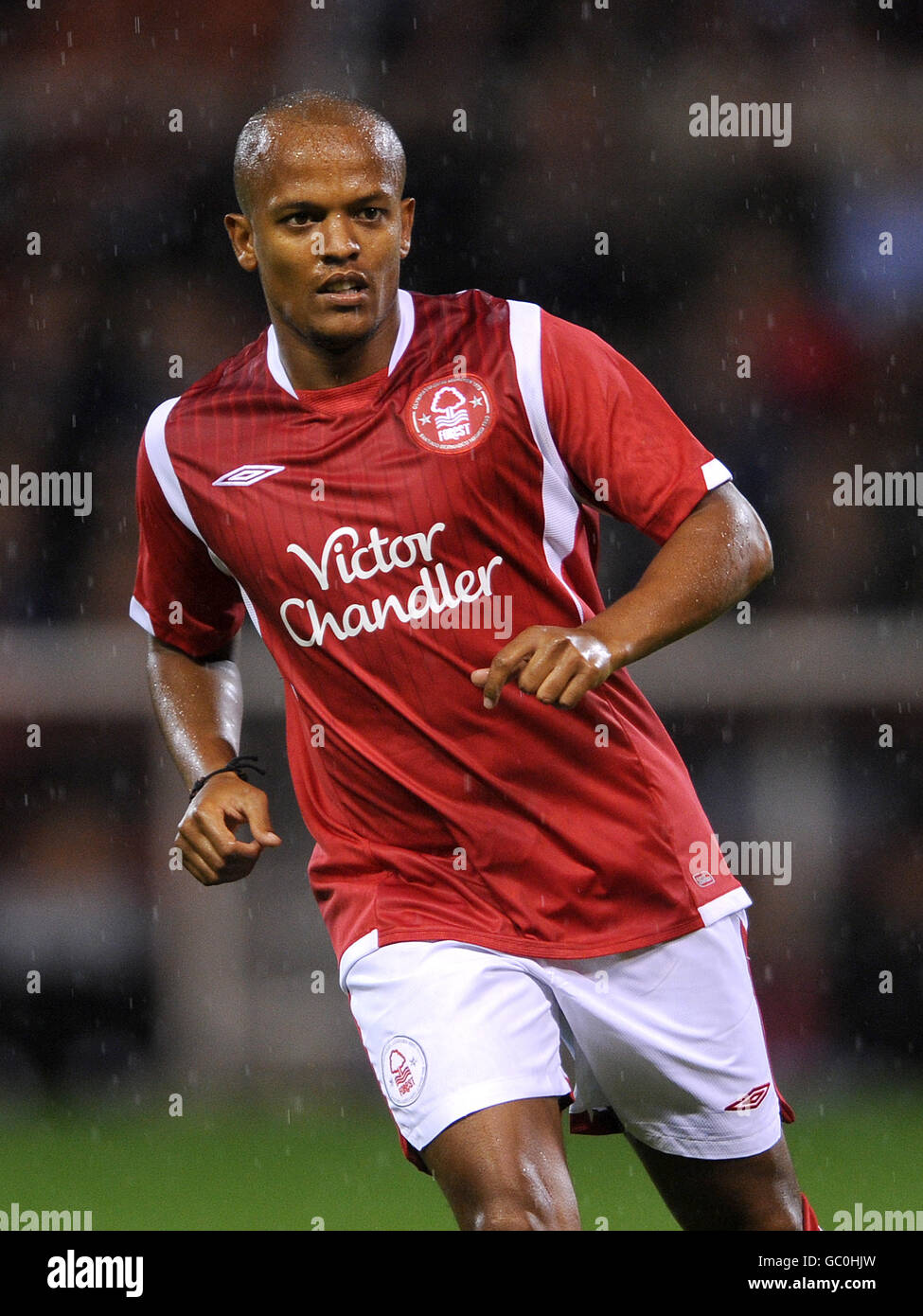 Robbie earnshaw forest hi-res stock photography and images - Alamy