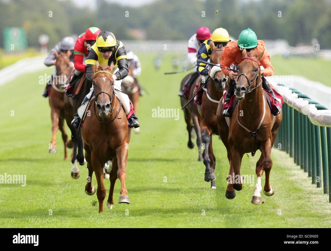 Horse Racing - Saints RLFC Raceday - Haydock Park Racecourse Stock ...