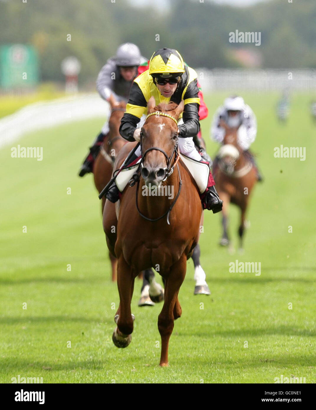 Saints rlfc hi-res stock photography and images - Alamy