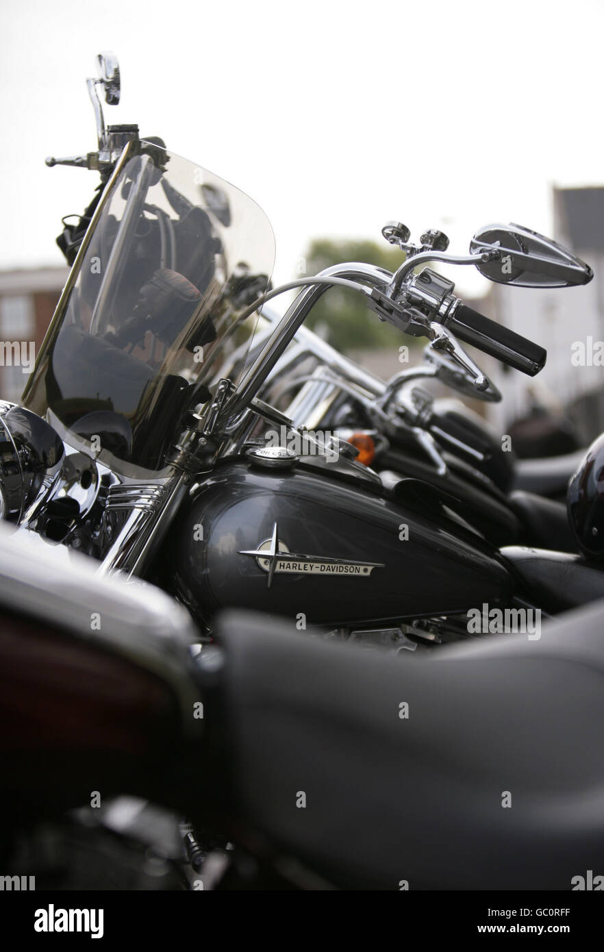 Motorcycles at the Harley Davidson celebrity bike ride, at Warr's ...