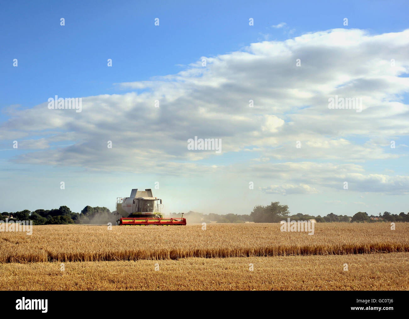 Crops Being Harvested Stock Photo - Alamy