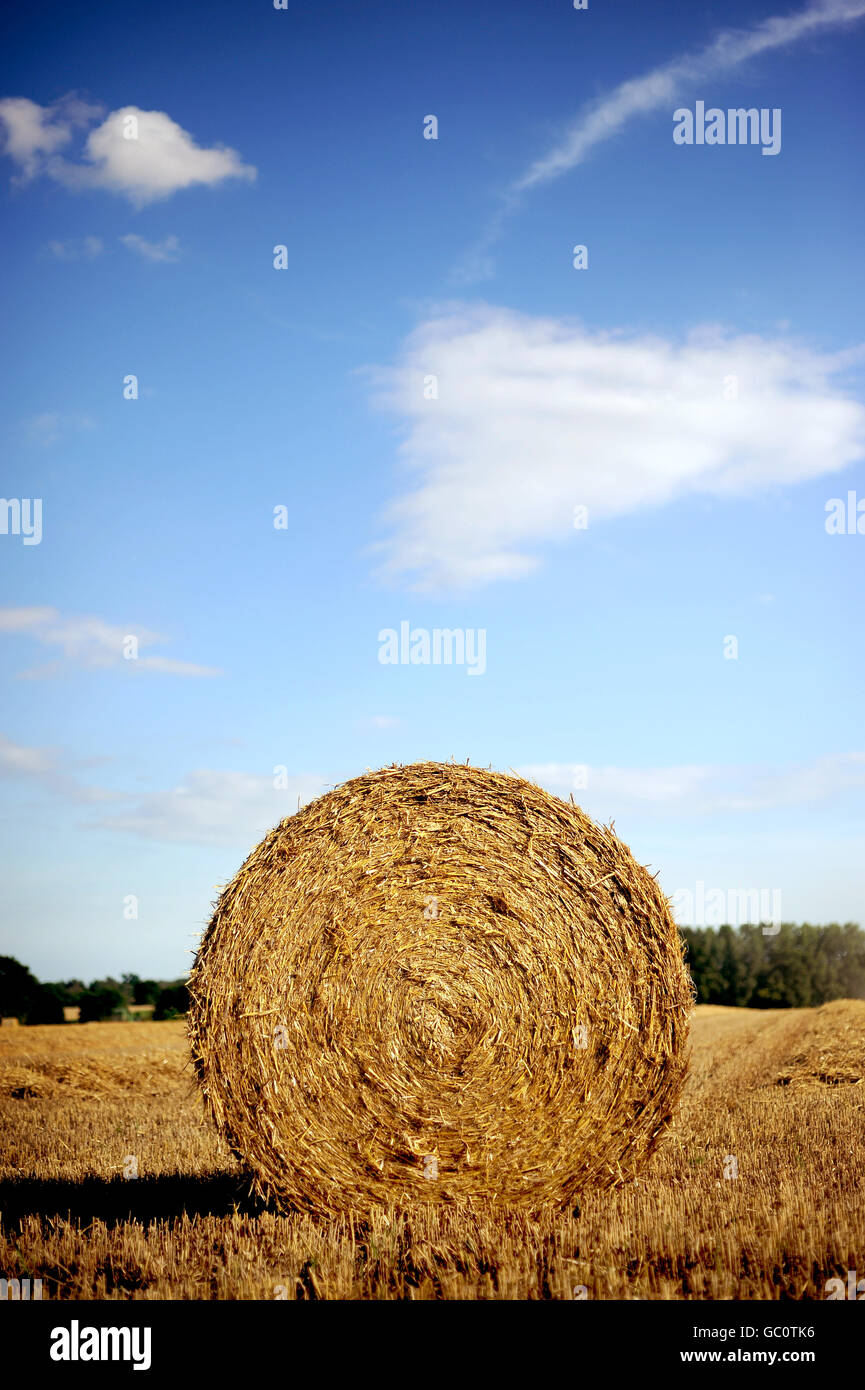 Crops Being Harvested Stock Photo - Alamy