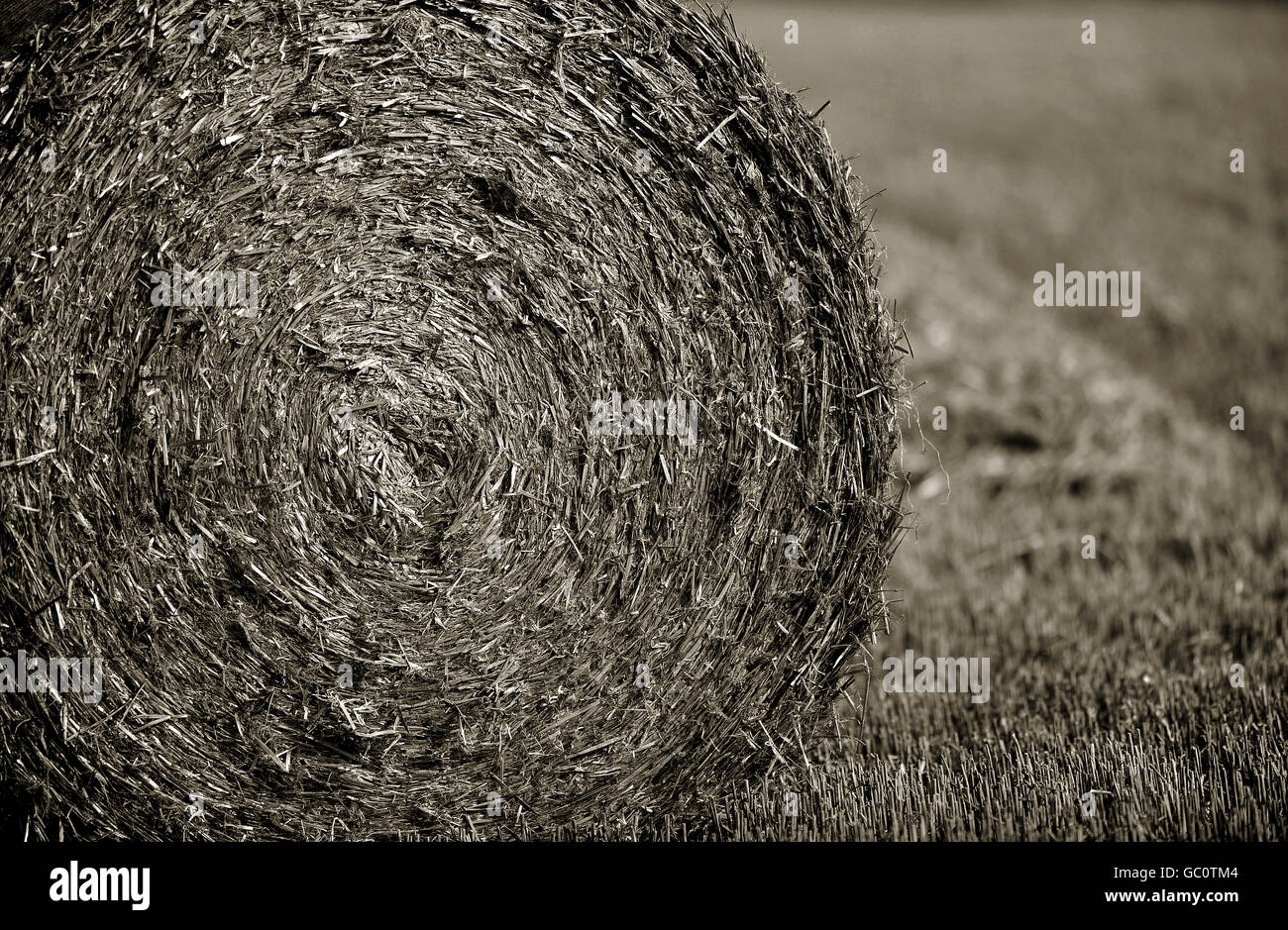 Crops Being Harvested Stock Photo - Alamy
