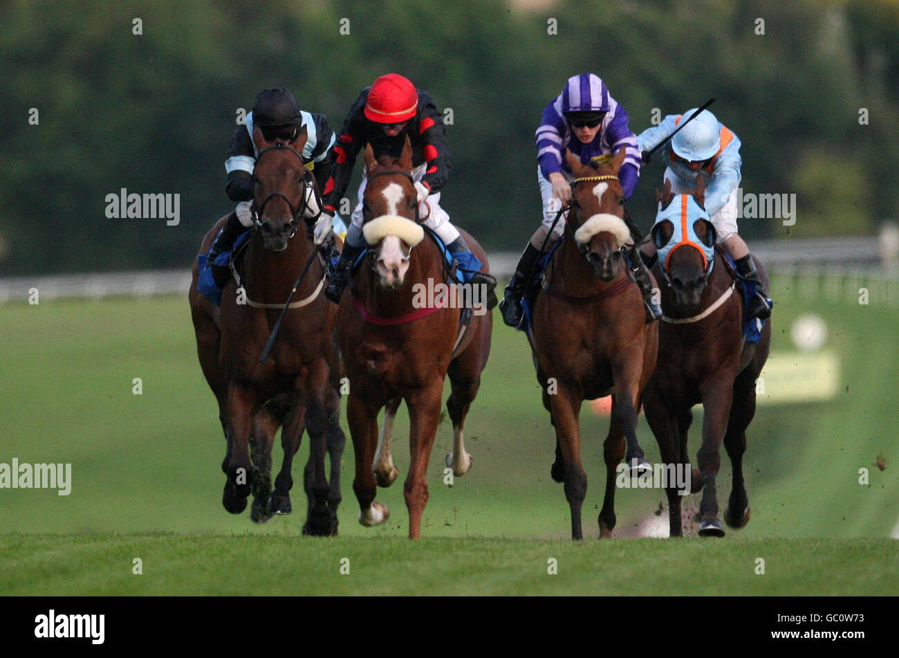 Hamilton park racecourse horse hi-res stock photography and images - Alamy