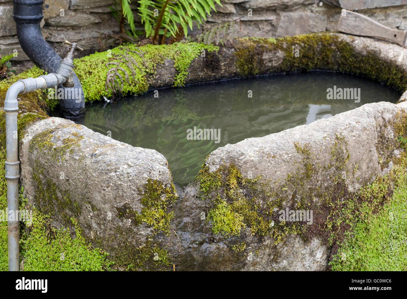 Garden stone trough water hi-res stock photography and images - Alamy