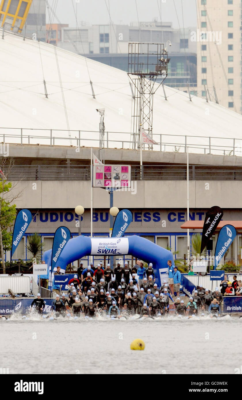 Swimming - Great London Swim - Royal Victoria Dock Stock Photo - Alamy