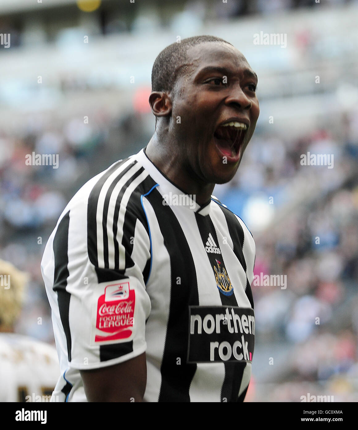 Soccer - Coca-Cola Football League Championship - Newcastle United v ...