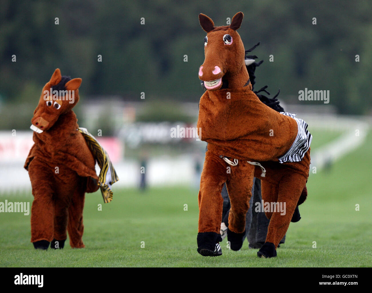 Action from the mayors pantomime horse race hi-res stock photography ...