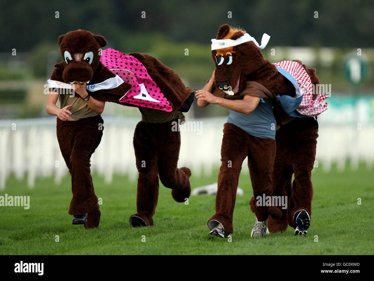 Horse Racing - Comedy Night - Sandown Park Stock Photo - Alamy