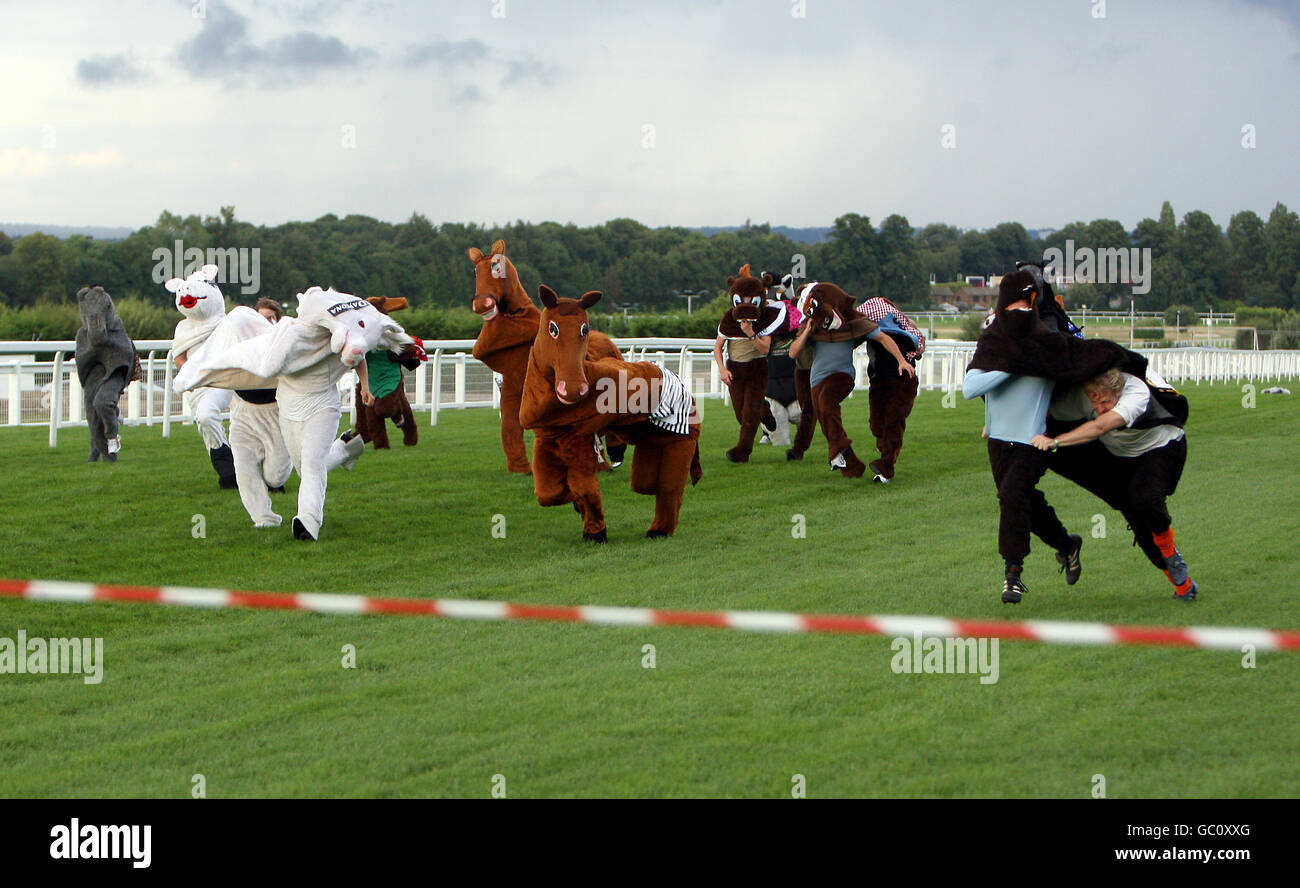 Pantomime horse hi-res stock photography and images - Alamy