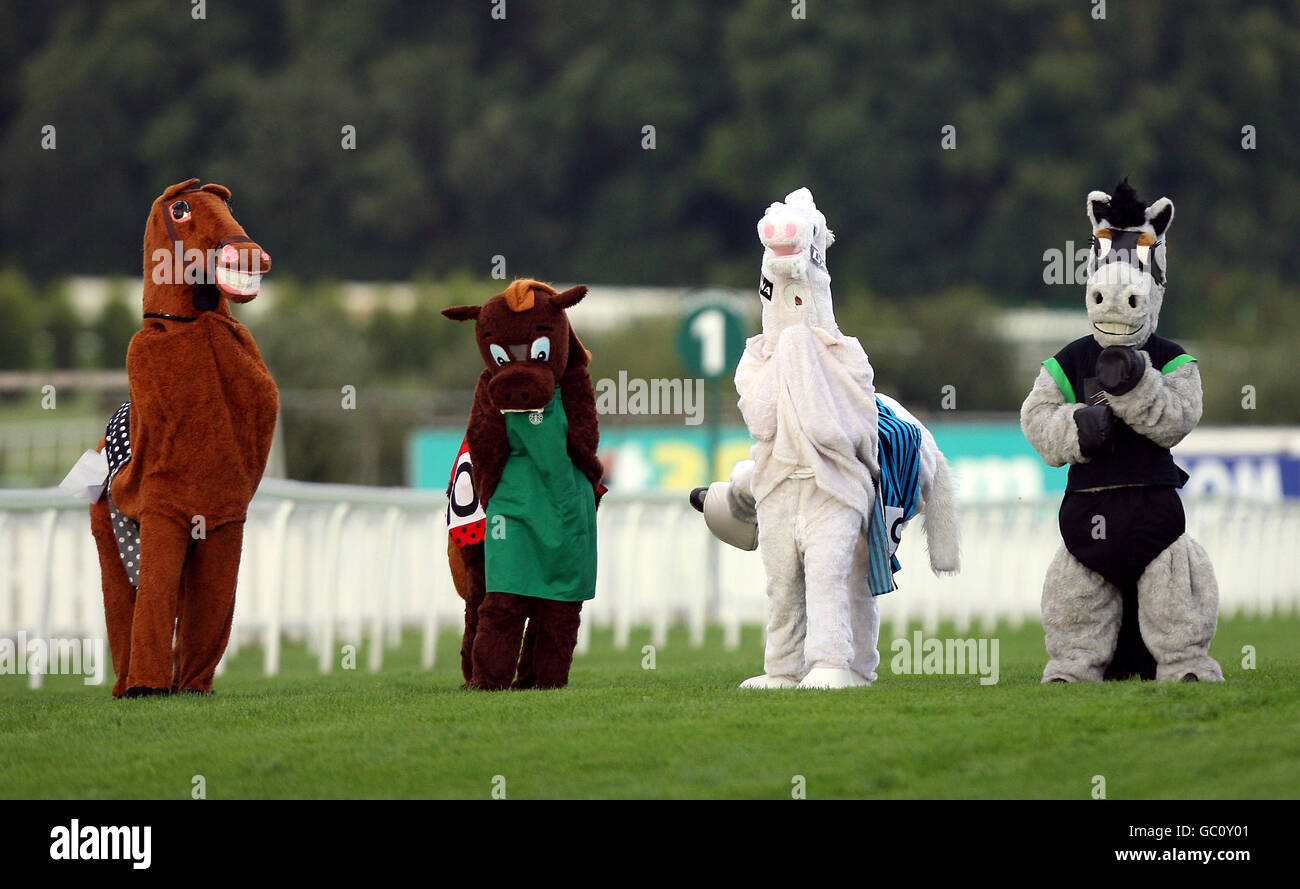 Mayors pantomime horse race hi-res stock photography and images - Alamy