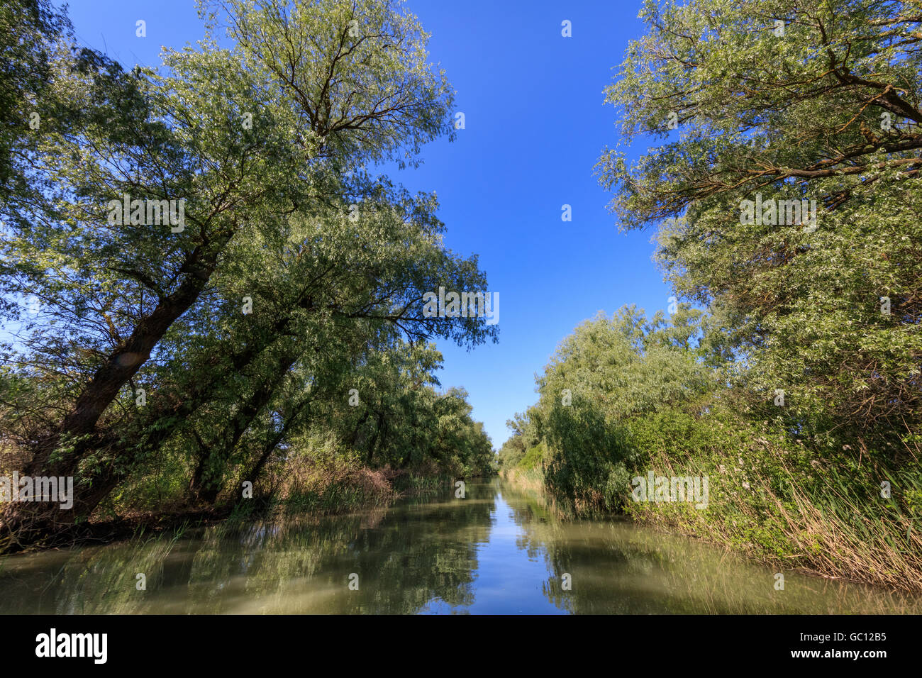 Danube Delta, Romania Stock Photo - Alamy