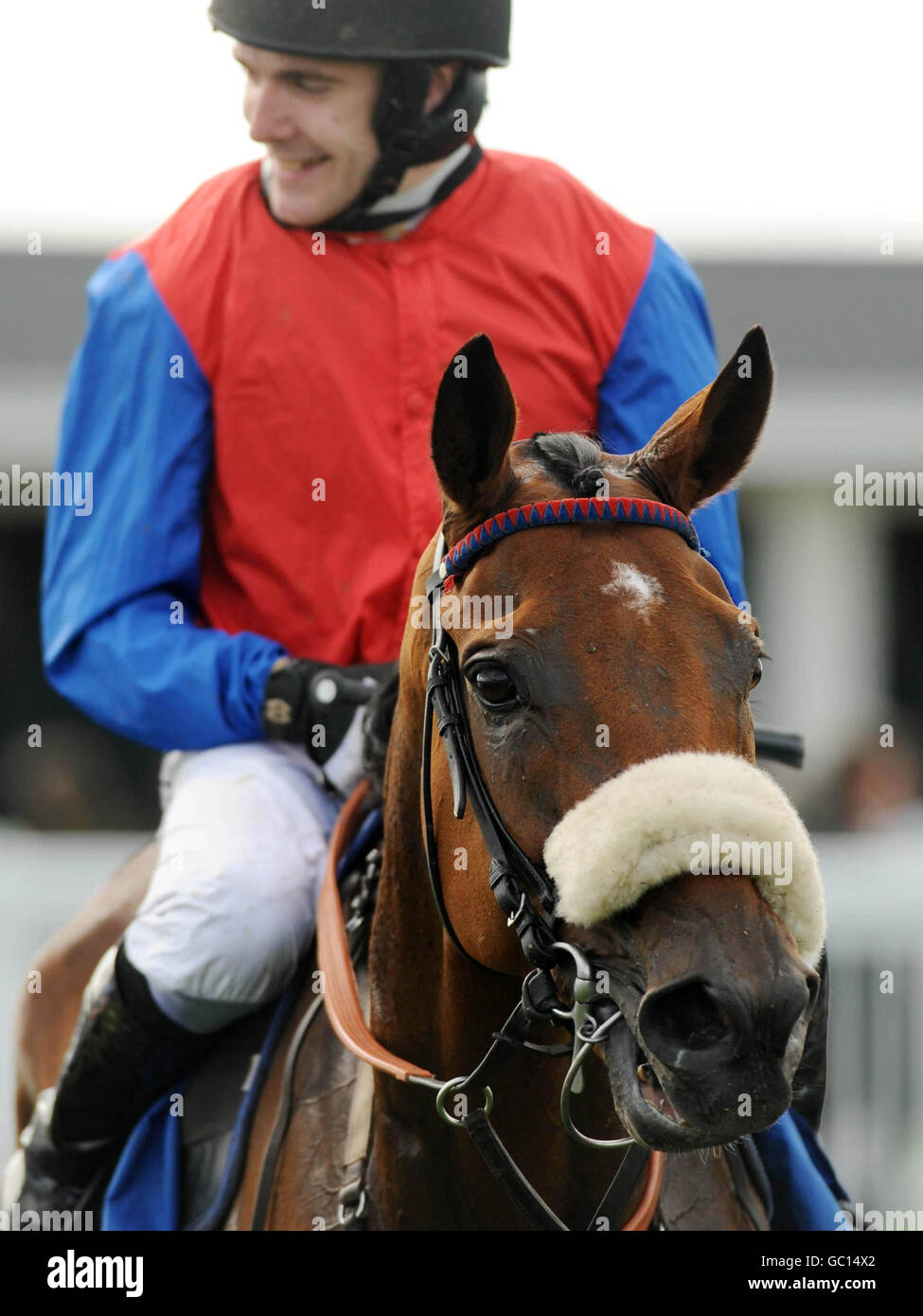 Backstage and jockey Tom Scudamore make their way to the winners ...