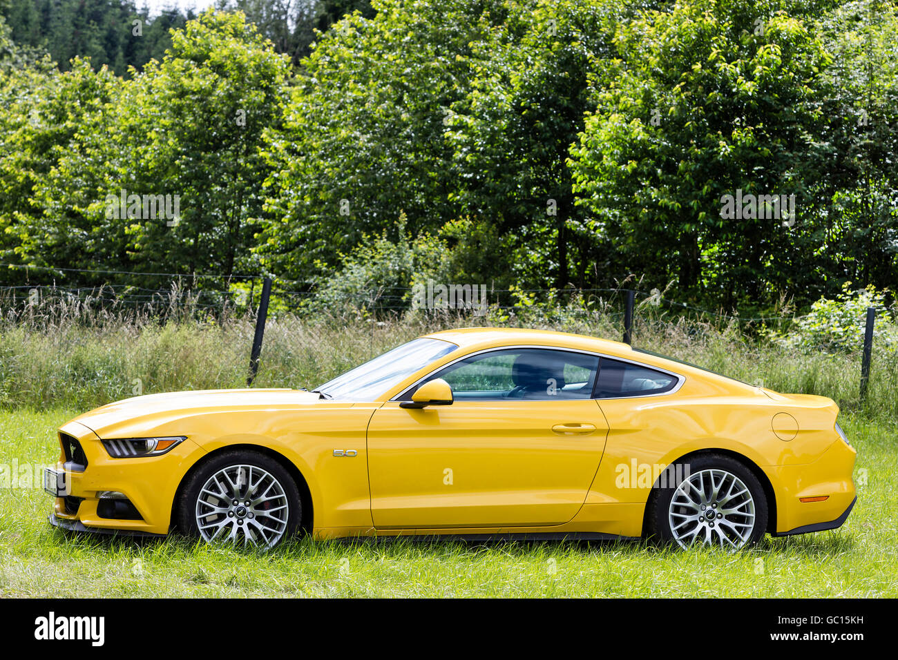 Side view of a Ford Mustang vintage car Stock Photo - Alamy