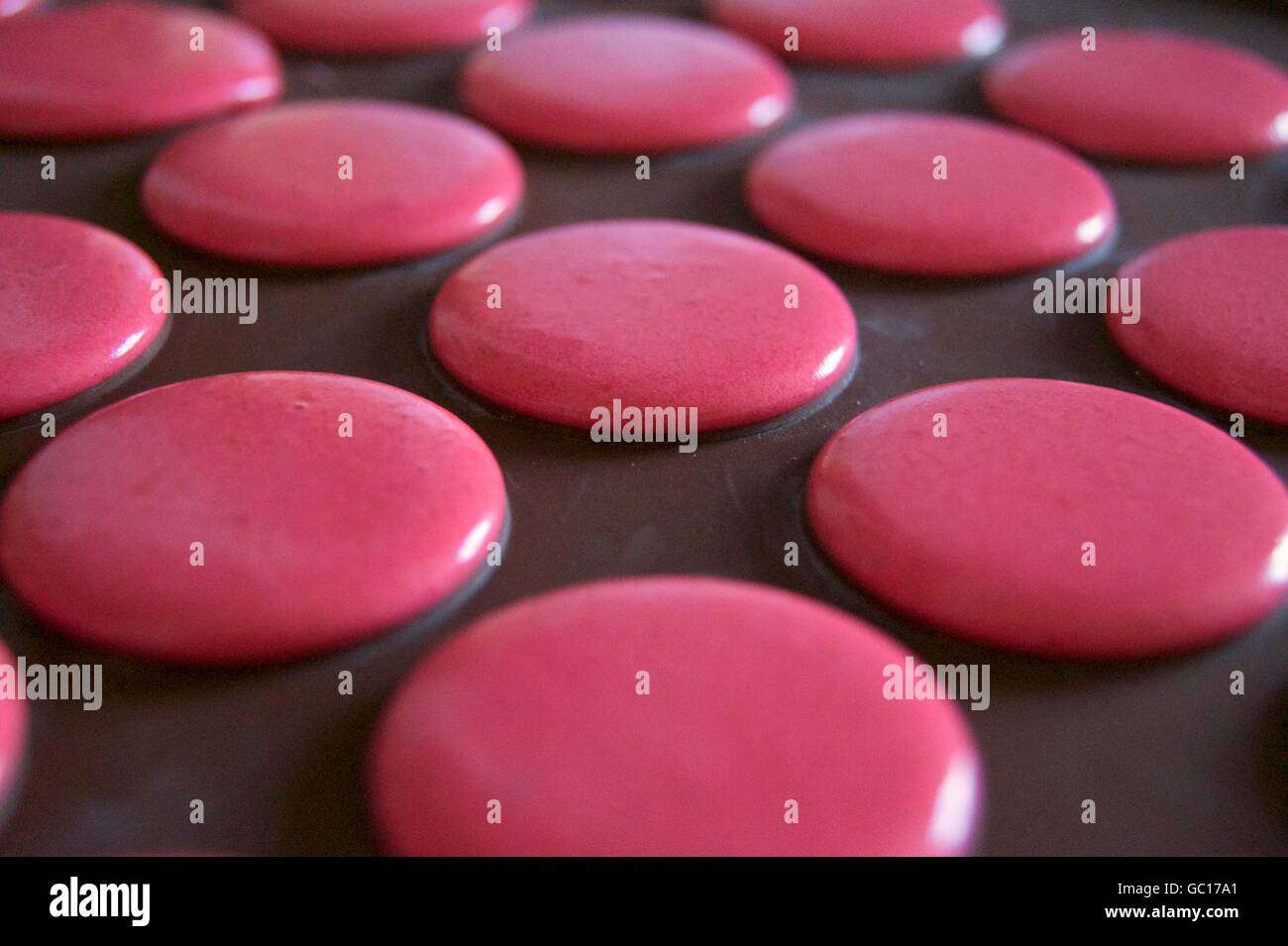 Macarons resting before being baked Stock Photo - Alamy