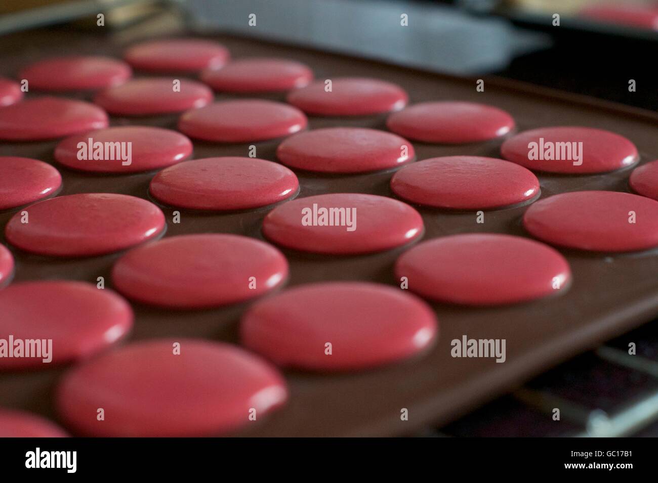 Macarons resting before being baked Stock Photo - Alamy