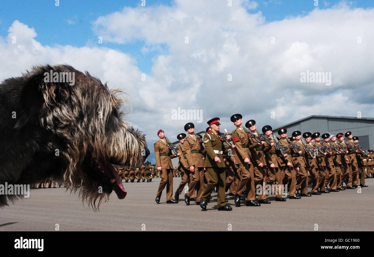 Europe's largest military graduation parade Stock Photo - Alamy
