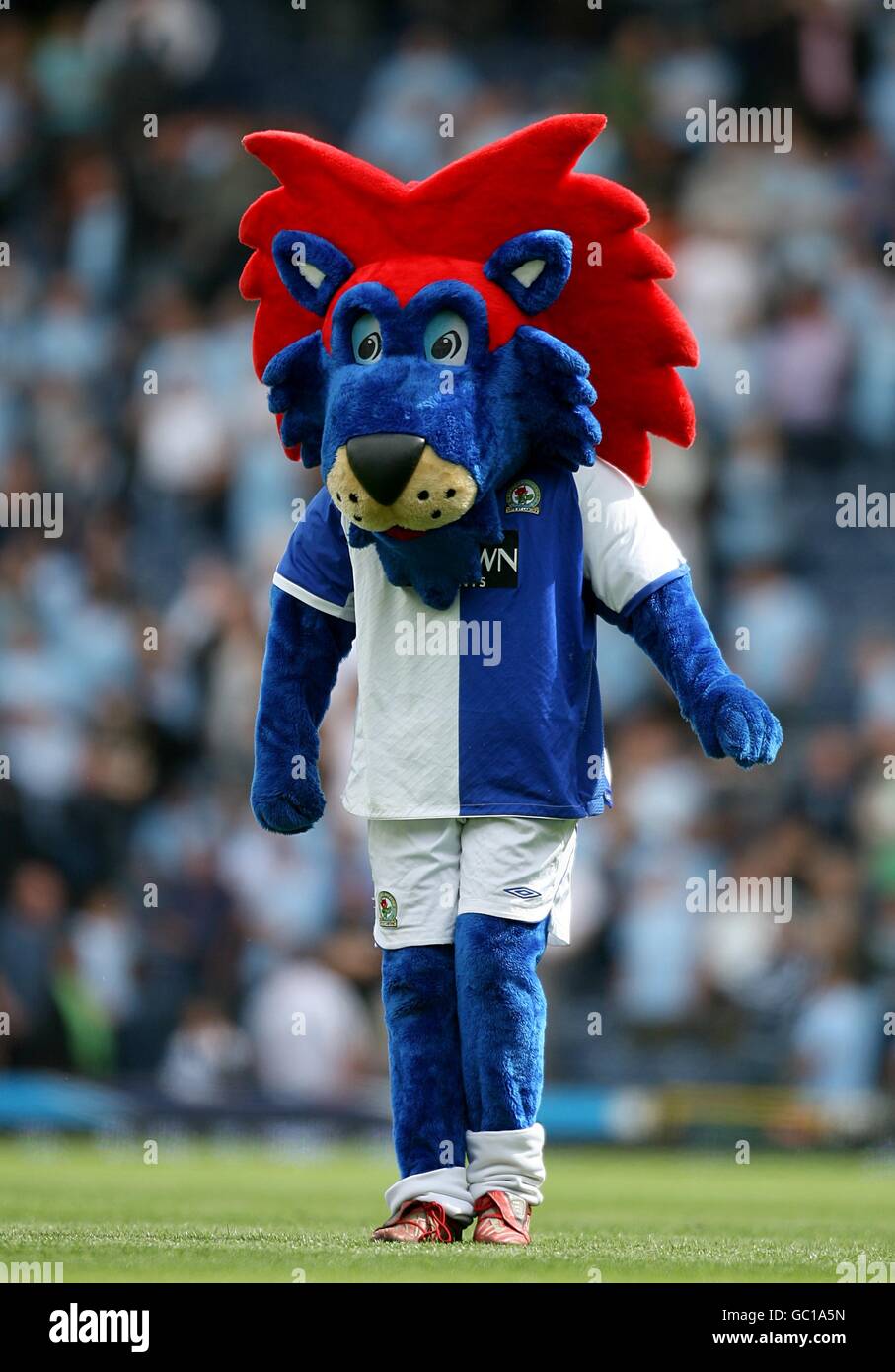 Manchester City Mascot High Resolution Stock Photography and Images - Alamy