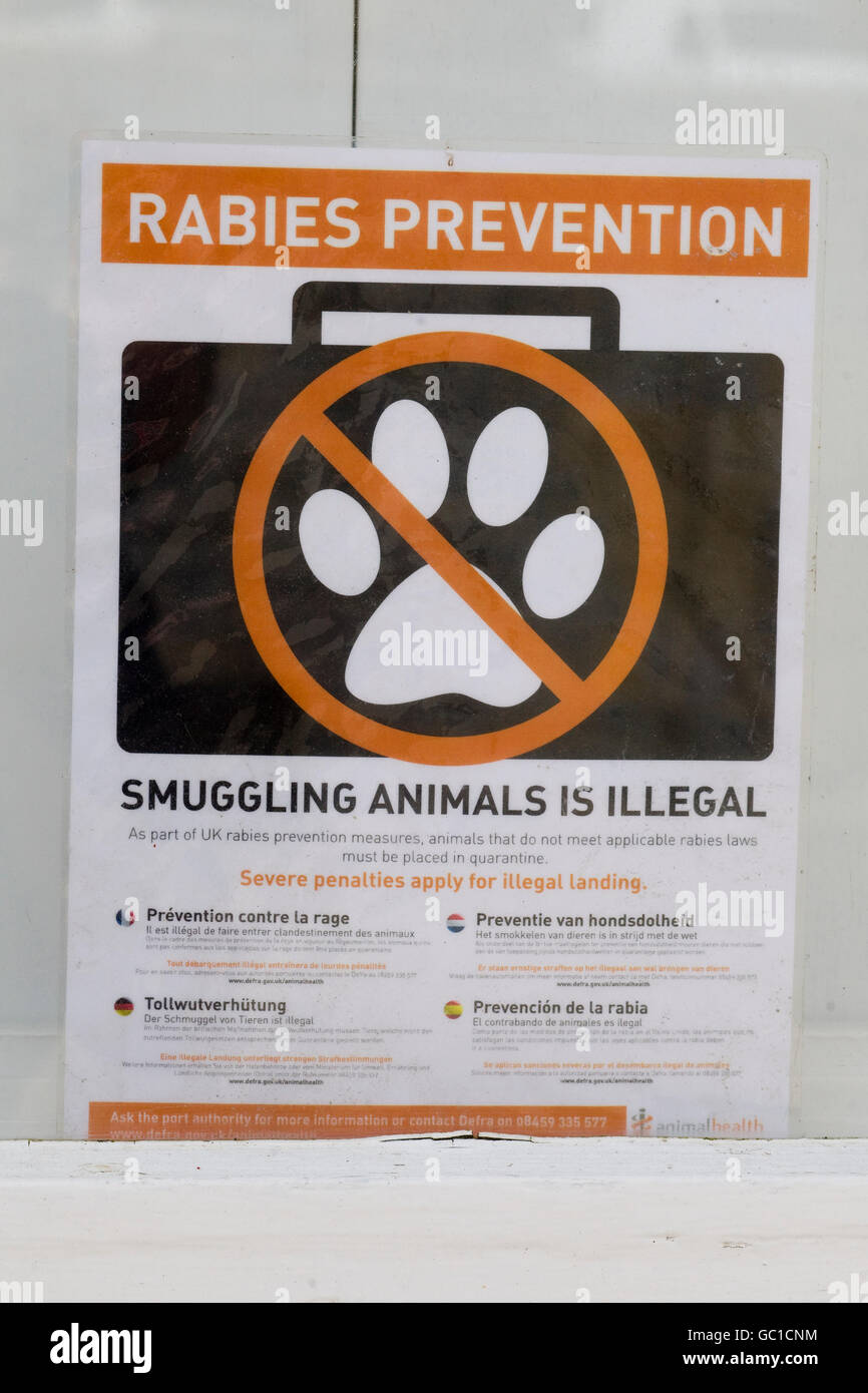Rabies prevention warning sign Stock Photo - Alamy