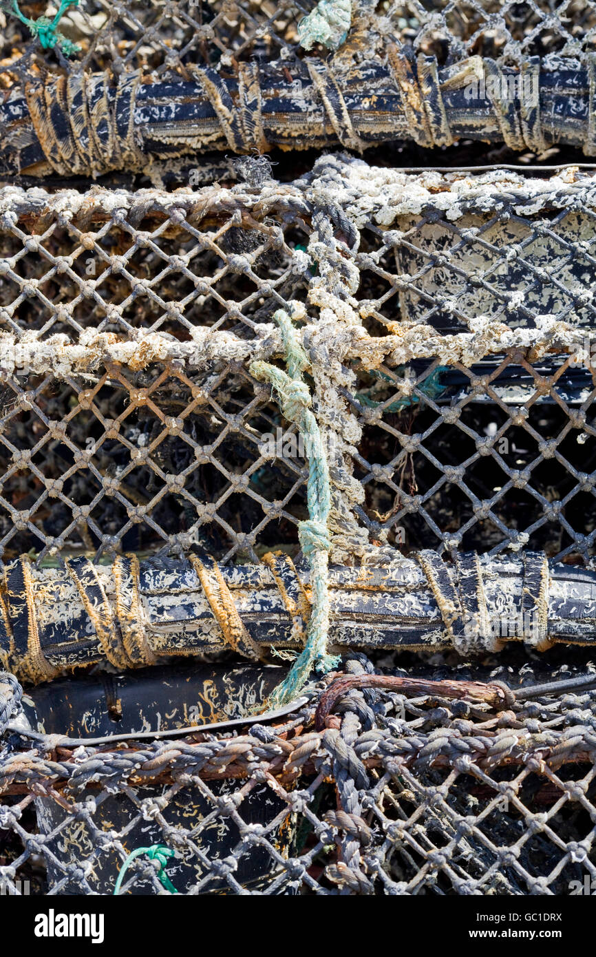 Marine trap lobsters crabs hi-res stock photography and images - Alamy