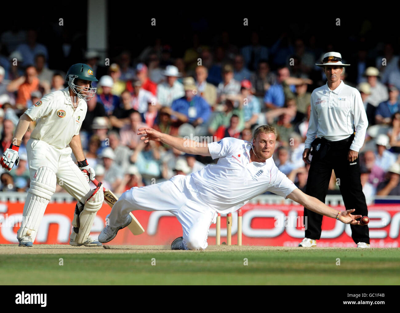 Cricket stretching to catch hi-res stock photography and images - Alamy
