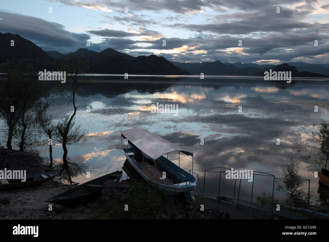 the river Rijeka Crnojevica at the west end of the Skadarsko Jezero Lake or Skadar Lake in ...