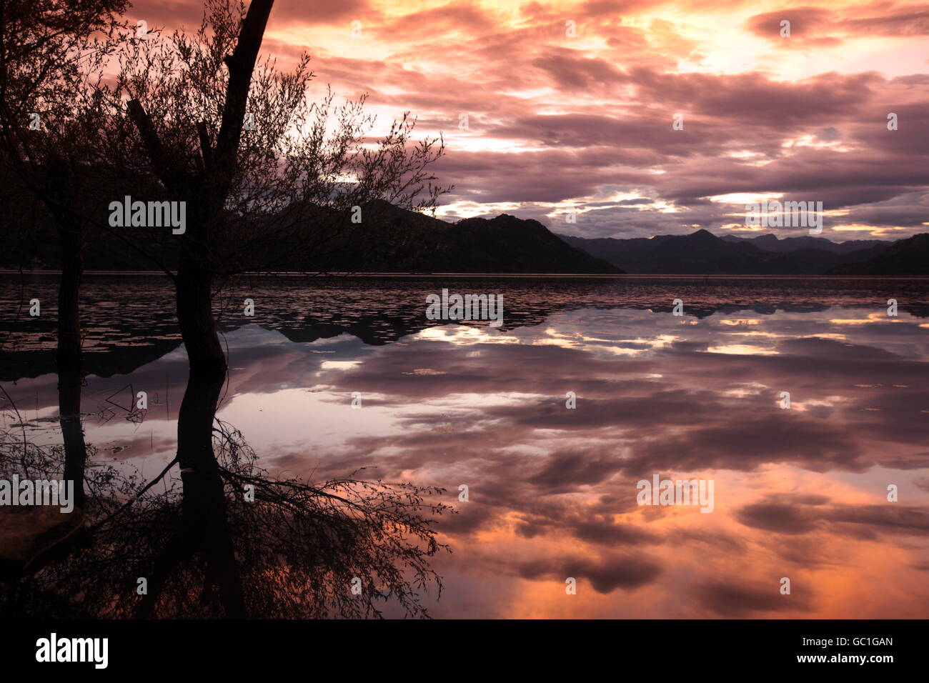 the river Rijeka Crnojevica at the west end of the Skadarsko Jezero Lake or Skadar Lake in ...