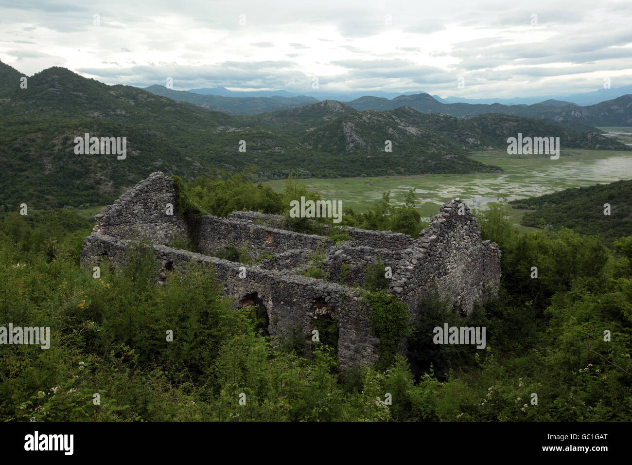 the river Rijeka Crnojevica at the west end of the Skadarsko Jezero Lake or Skadar Lake in ...