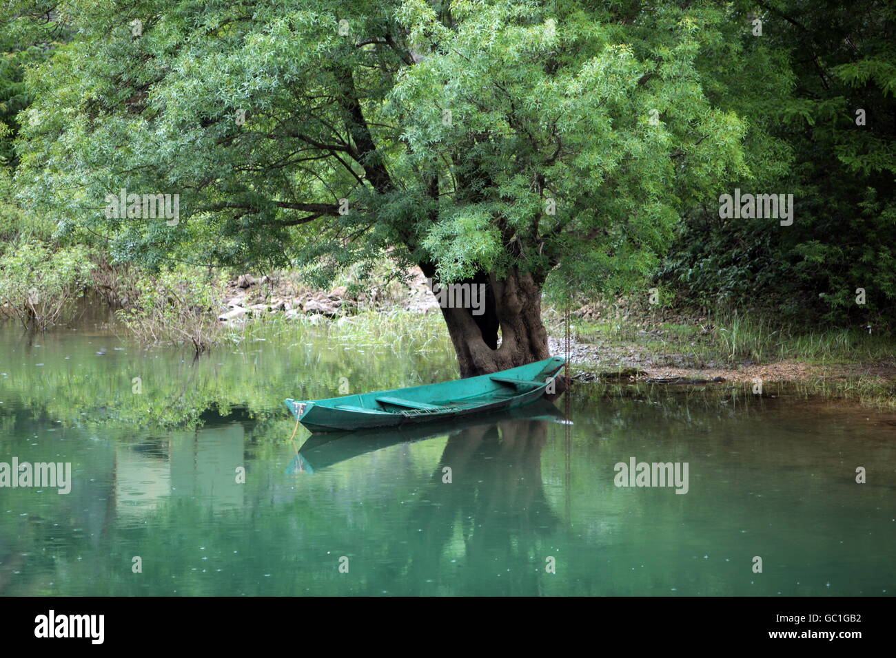 the river Rijeka Crnojevica at the west end of the Skadarsko Jezero Lake or Skadar Lake in ...