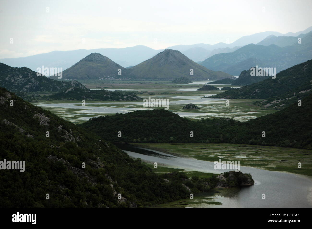 the river Rijeka Crnojevica at the west end of the Skadarsko Jezero Lake or Skadar Lake in ...