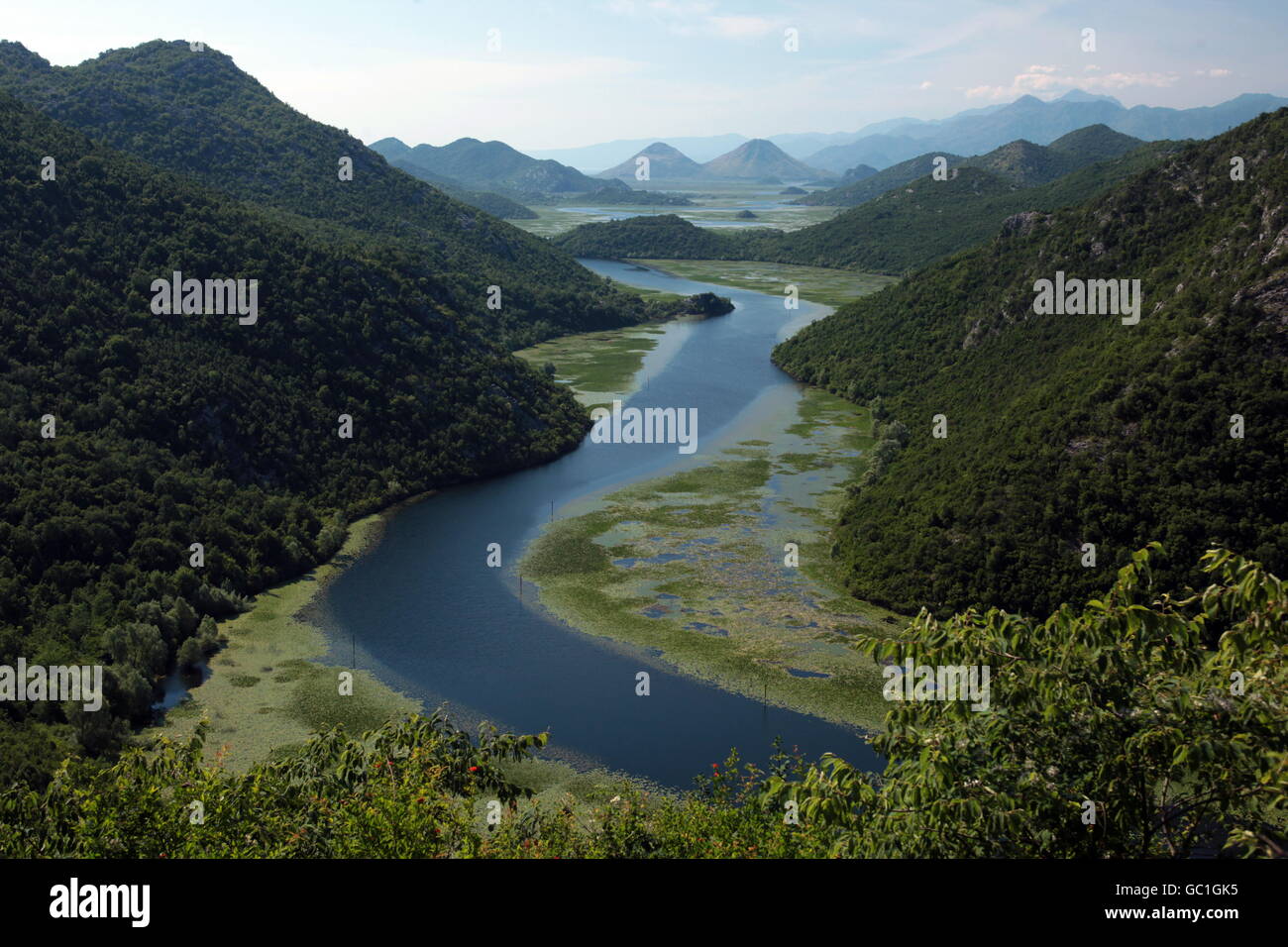 the river Rijeka Crnojevica at the west end of the Skadarsko Jezero Lake or Skadar Lake in ...